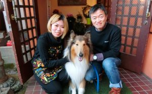 Accommodations - Japanese Inn Group